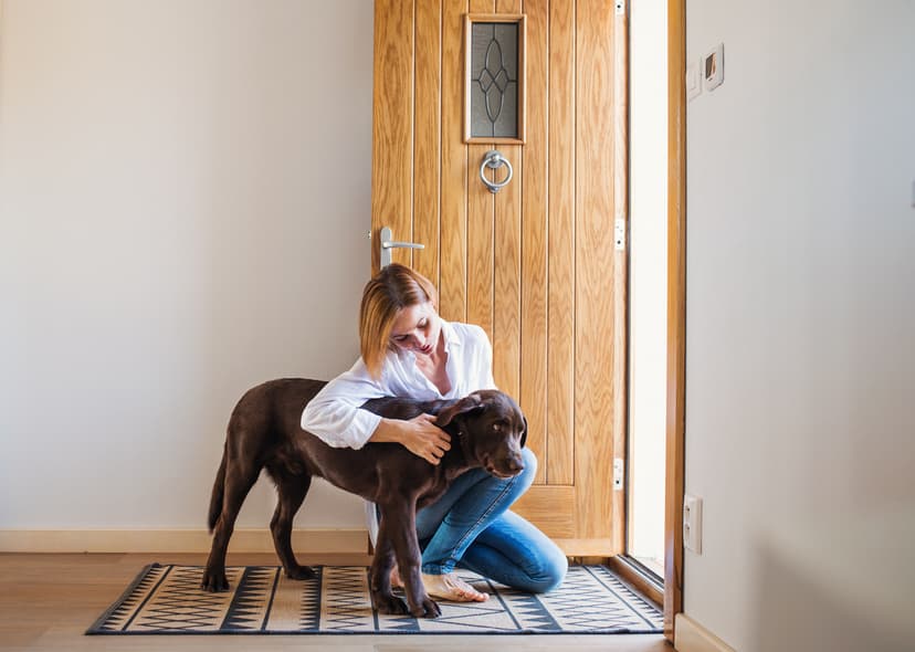 Pawdicure.com | At-Home Pet Nail Trimming by Trusted Professionals