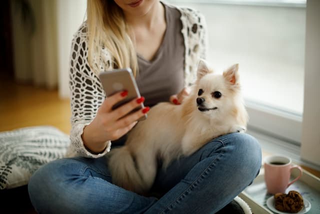 Pawdicure.com | At-Home Pet Nail Trimming by Trusted Professionals