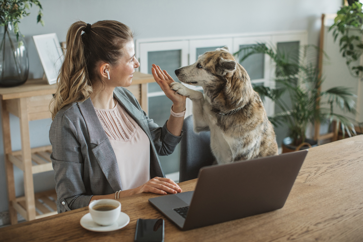 Technician Resources | Pawdicure.com